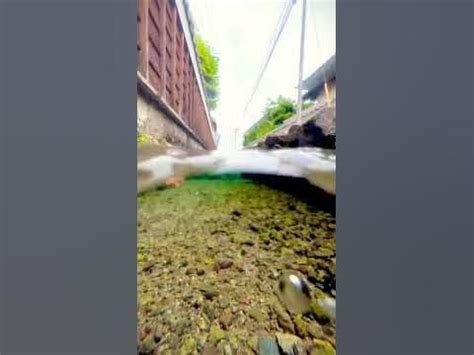 Jaw Dropping Crystal Water Canal In Shimabara Japan Spirited Aways