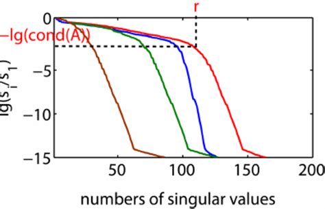 Singular Spectra In The Common Logarithm Scale For The Models V11 And