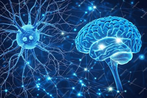 Connectomics Repolarization And Synaptic Vesicles Biological Neuron Structure Visualized In Blue