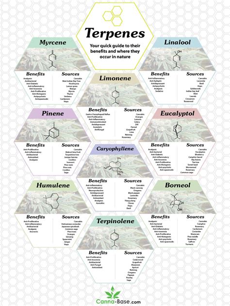 Printable Terpene Chart