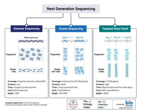 Next Generation Sequencing NGS Definition Types