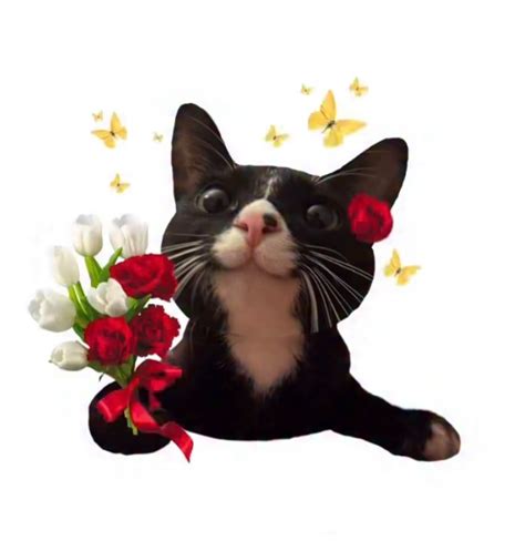 Elasticsearch Query Dsl과 Query Vs Filter Context