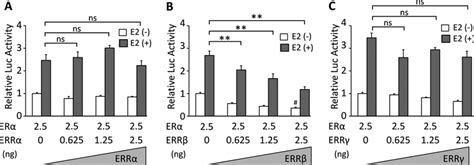 Err Represses The Er Mediated Transcriptional Activity Of Ere Cos 1