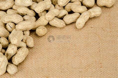 棕色麻袋背景上烤花生的图像高清图片下载 正版图片502612397 摄图网