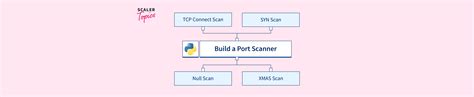Build A Port Scanner In Python Scaler Topics
