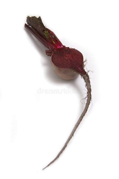 Beet Root Vegetable Stock Photo Image Of Bright Natural 1893090