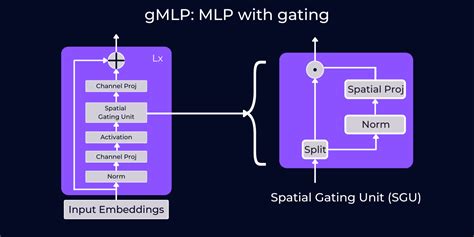 Bringing Back Mlps Gmlp Weights And Biases
