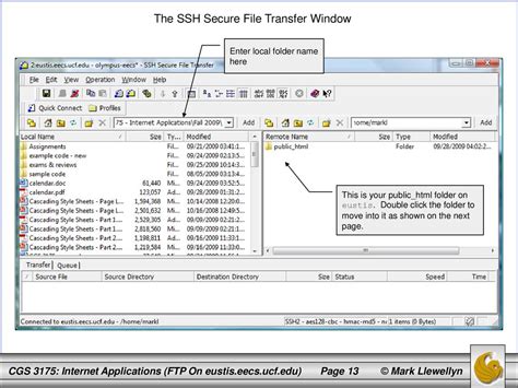 cgs 3175 internet applications fall ppt download