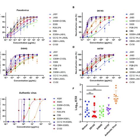 Sequencing Analysis Of Germline And Cdr3 Region Of Antibodies A