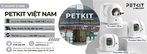 Long Island Web Design Finding A Trusted Marketing Agency Isnt Easy