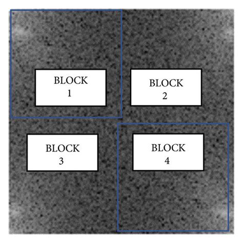 Fingerprint Image Power Spectrum Download Scientific Diagram