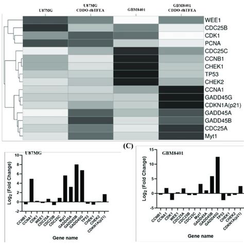a heatmap clustering analysis was conducted to assess the expressed