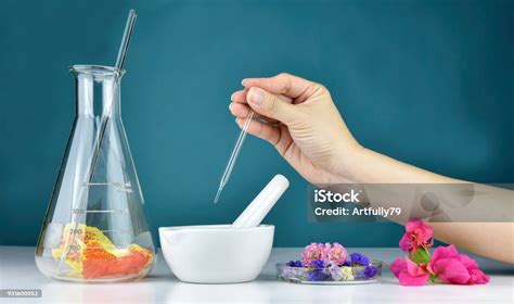 자연 초본 유기 약물 연구 및 실험실 유리 그릇 박격포에 화학자 떨어지고 식물 추출 물질 과학 실험실에서 자연 의학 발견 하는