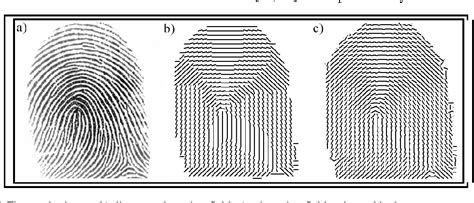 Figure From A Minutiae Based Matching Algorithms In Fingerprint Recognition Systems Semantic