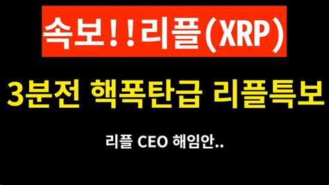 리플랩스 대표 해임하겠다라는 게리갠슬러 음모 ㅁㅊ놈일세 에휴 이러니 리플이 안오르지ㅠㅠ Youtube