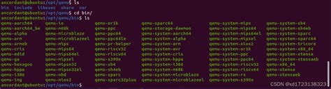 Ubuntu2004搭建risc V和qemu环境ubunu2004 Riscv Csdn博客