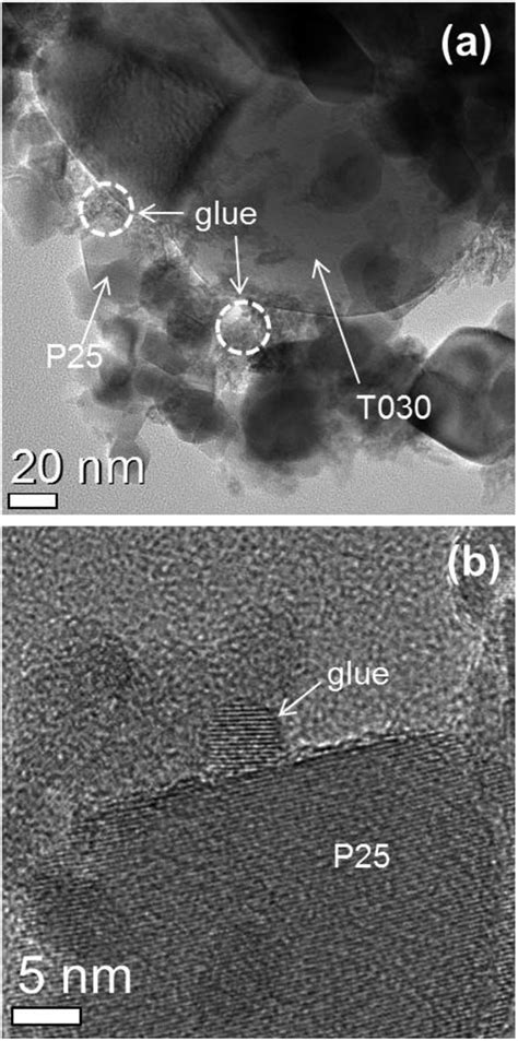 TEM Images Of TiO 2 Films That Were Partially Removed From The Download Scientific Diagram