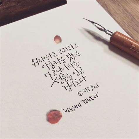 인셀덤 이유정 선물 ⠀ 때론 너무 힘들고 왜 나에게 이런일이 나만 이래 라는 생각이 들 때가 있죠 ⠀ 위대하고 고귀하고 아름다운 것은 모두 다 고난이라는 선물을