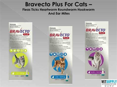 Ppt Bravecto Plus For Cats Fleas Ticks Heartworm Roundworm Hookworm And Ear Mites Powerpoint