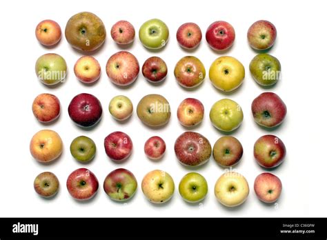 Of The 30 000 Apple Varieties Found All Over The World Only 30 Are Used
