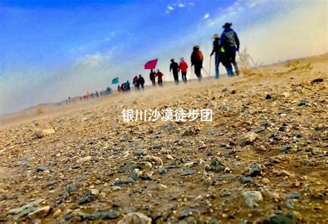 50个团建横幅 口号 队名HR收藏 有山团建