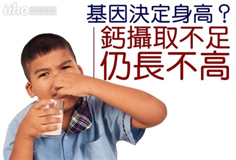 基因決定身高？鈣攝取不足仍長不高uho優活健康網