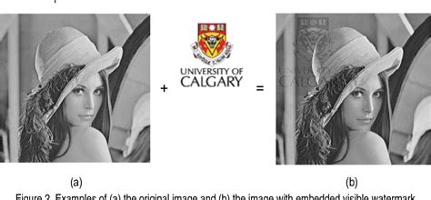 Figure 1 From Vlsi Watermark Implementations And Applications Semantic Scholar
