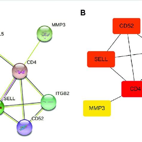 Ppi Network A Ppi Network Of Overlapping Hub Genes B Most Download Scientific Diagram