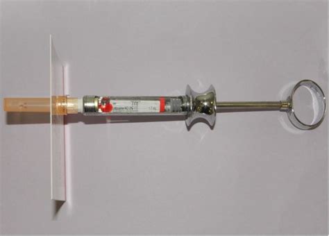 Basic Injection Technique And Maxillary Injections Flashcards Quizlet