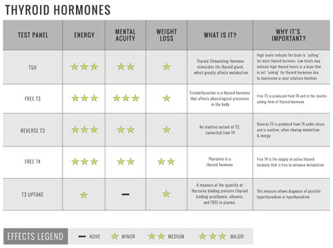 Np Thyroid Conversion Chart Minga