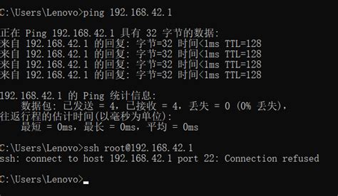 Usb 虚拟出 Rndis 网卡 登录系统 Duo Milkv Community