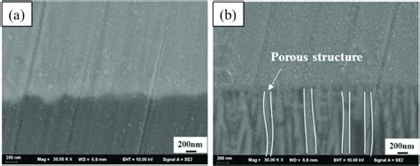 Cross Sectional Morphology Of The Interface Between The Interlayer And Download Scientific