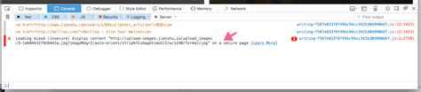 ssl why firefox marks a image insecure but all requests in network
