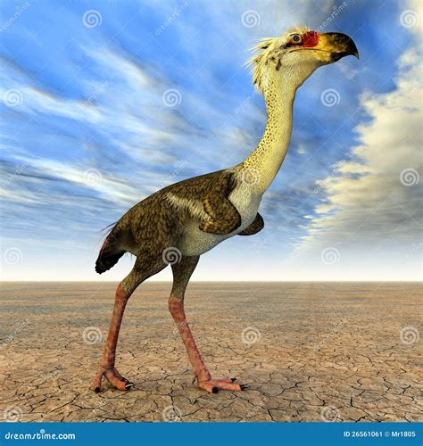 Phorusrhacos Size