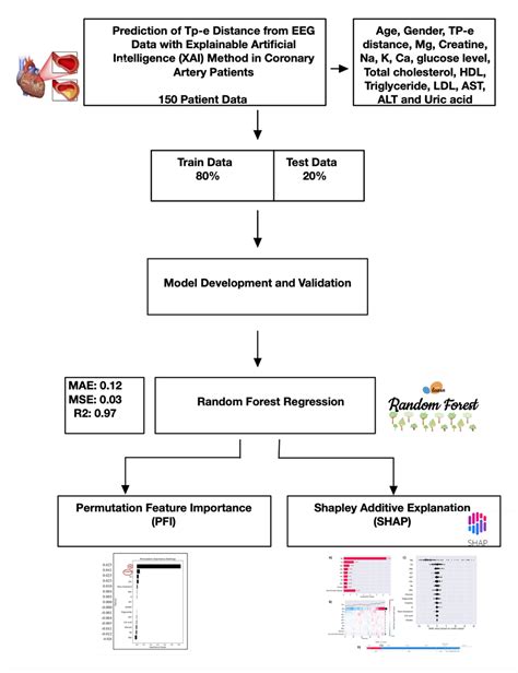 GitHub Tissueandcells Tp E Interval Prediction This Study Explores How Explainable Artificial