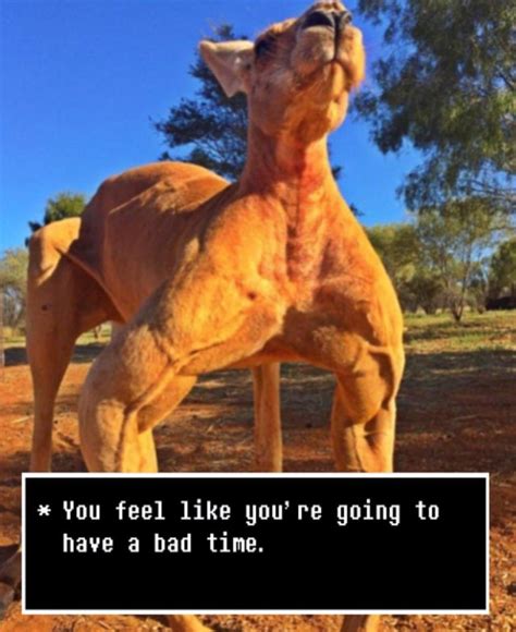 Buff Kangaroo Stealer Of All Woman… R Bossfight