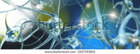 Neuron Neuron Transmits Signal Nerve Node Stock Illustration 2427293831