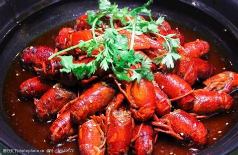 香辣小龙图片免费下载香辣小龙素材香辣小龙模板 图行天下素材网