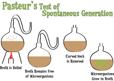 Spontaneous Generation Timeline Timetoast Timelines