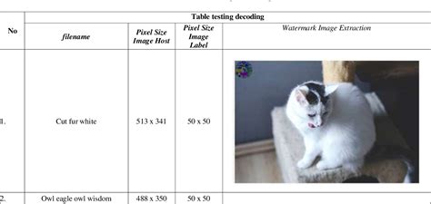 Table 2 From Implementation Of Digital Watermarking On Images Using The