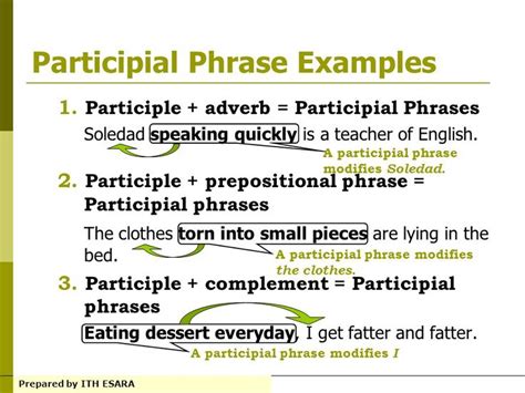 Participial Phrase Examples