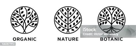 나무 로고 또는 아이콘 세트입니다 추상적 인 자연 상징 식물 유기농 에코 서클 기호 자연스러운 개념입니다 벡터 그림입니다 나무에 대한 스톡 벡터 아트 및 기타 이미지