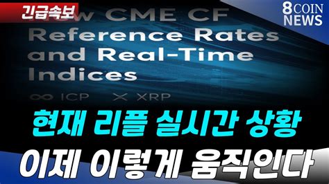 리플 긴급속보 현재 리플 실시간 상황 이제 이렇게 움직인다 Youtube
