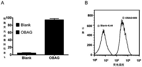 Cell Membrane Imaging Fluorescence Probe And Application Thereof Eureka Patsnap