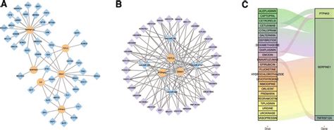 Construction Of Molecular Regulatory Networks And Drug Prediction Of