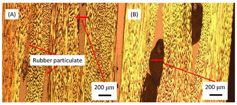 Microscopy Of The A Cfrp R And B Cf Samples To Determine
