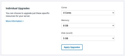 new virtualisation for cloud containers and sitehost servers sitehost
