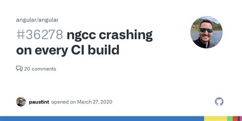 Ngcc Crashing On Every Ci Build · Issue 36278 · Angularangular · Github