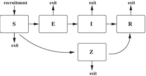 The Basic Scheme Of Population Dynamics Models For The Spread Of Ideas