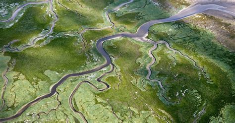 Maximilian Z Lorich On Linkedin A Greener Future How You Can Optimize Operations And Reduce